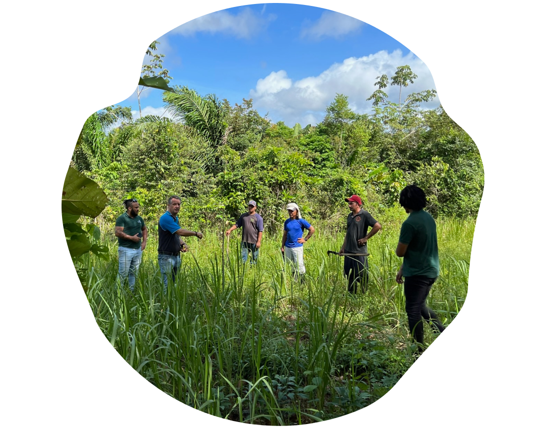 Open Forest Protocol | Transparent, data-backed carbon credits